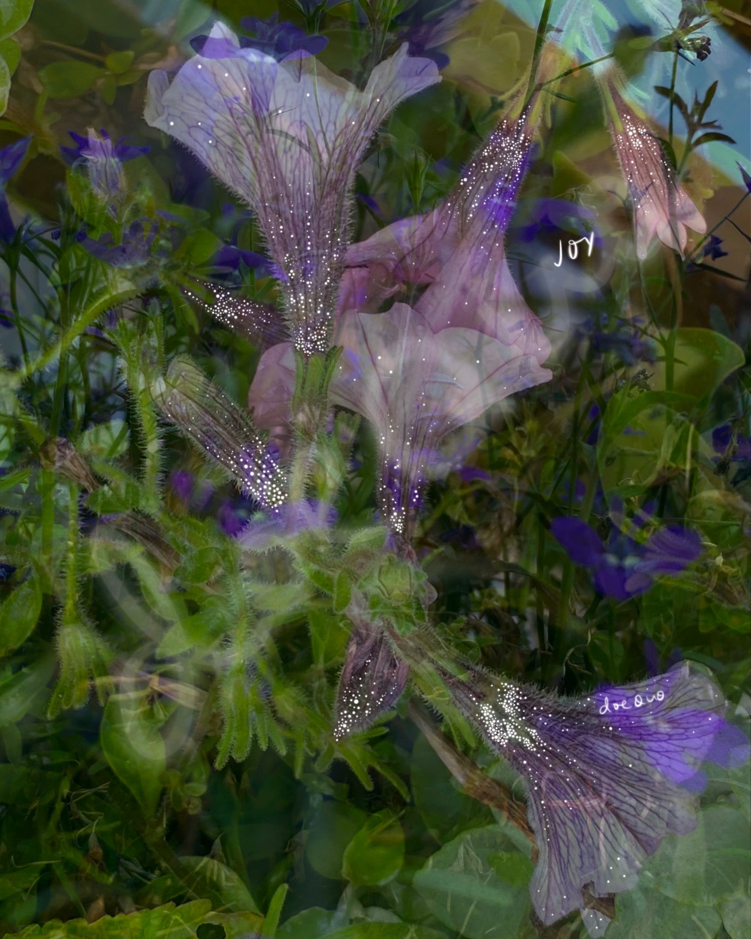 🌸 you are EXPLODING [PAPER NOTEBOOKS] 🚀 joyfully exploding – DOEQUO